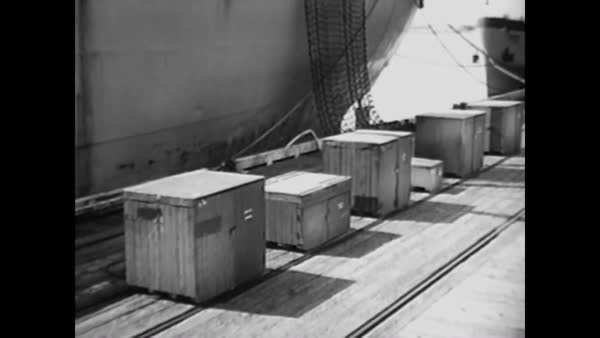 Break Bulk Cargo - KIEV SHIPPING